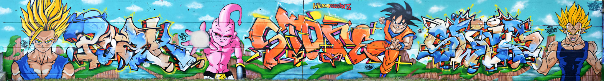 Graffiti dragon ball z pour les 5 ans du WXP Pozek Kaps Stone Swiponer